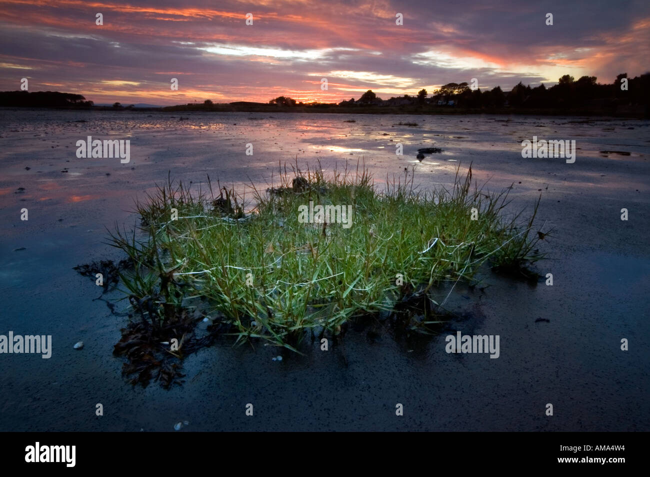 Sunset on a marshy beach Stock Photo - Alamy