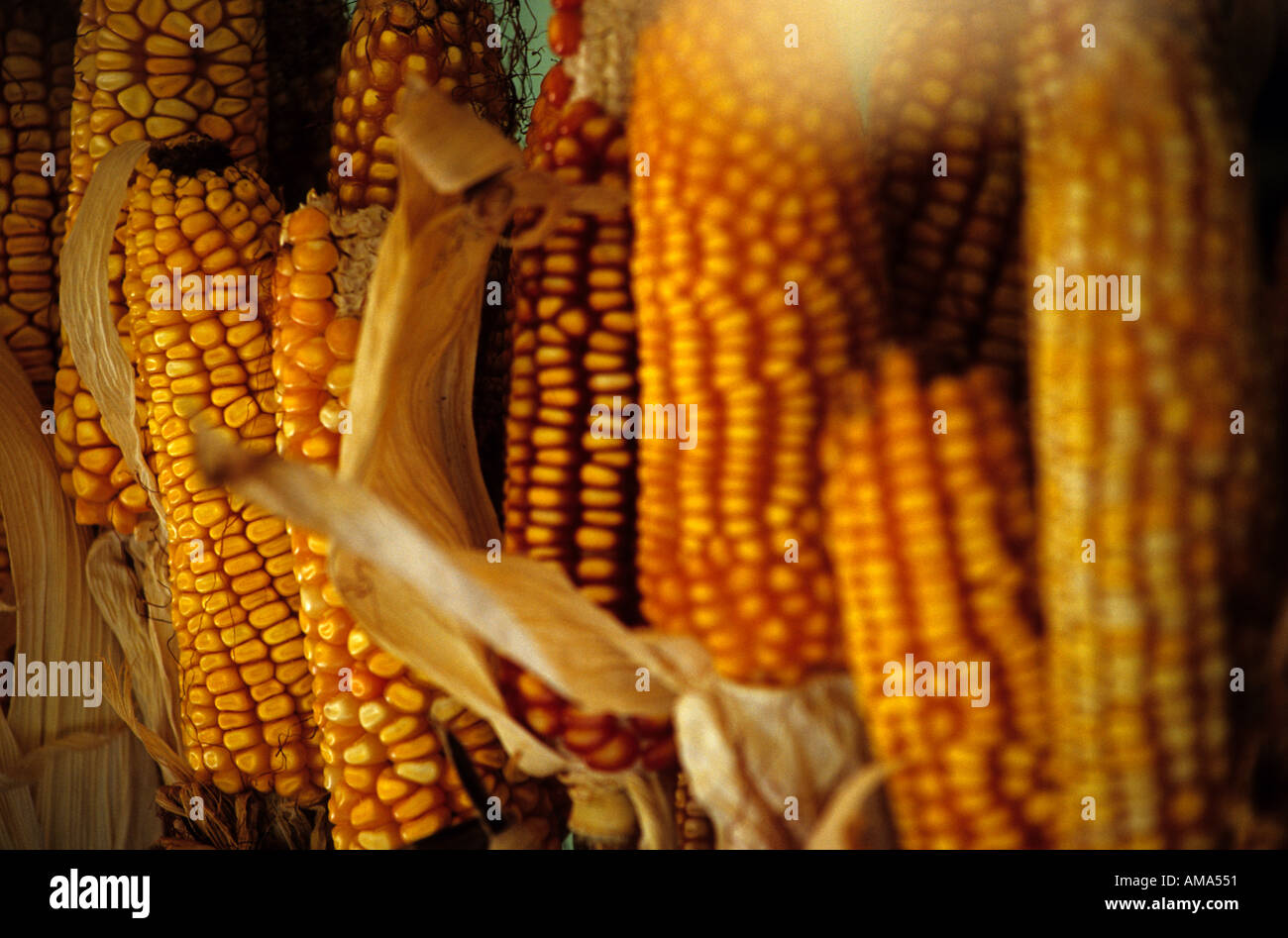 Peru corn food hi-res stock photography and images - Alamy