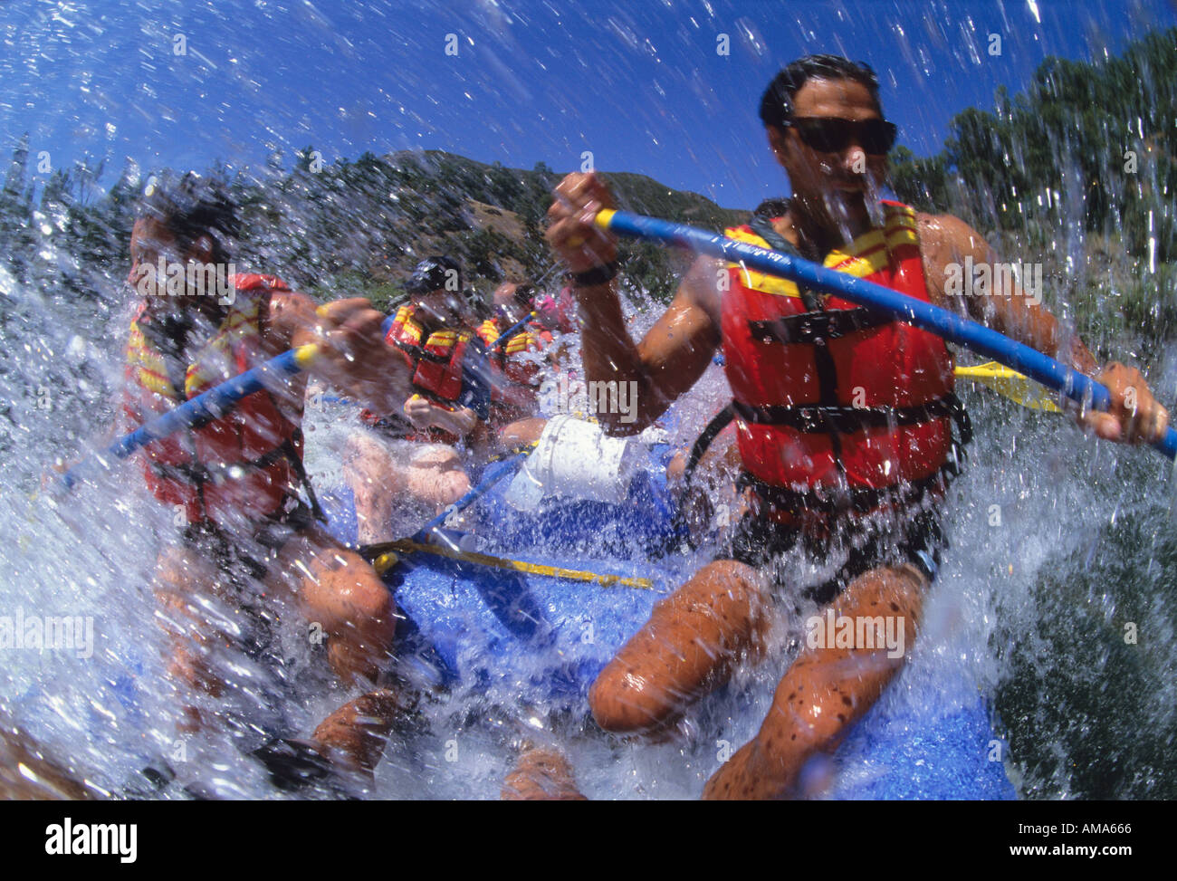Sport Sports White Water Rafting on the American River California USA ...