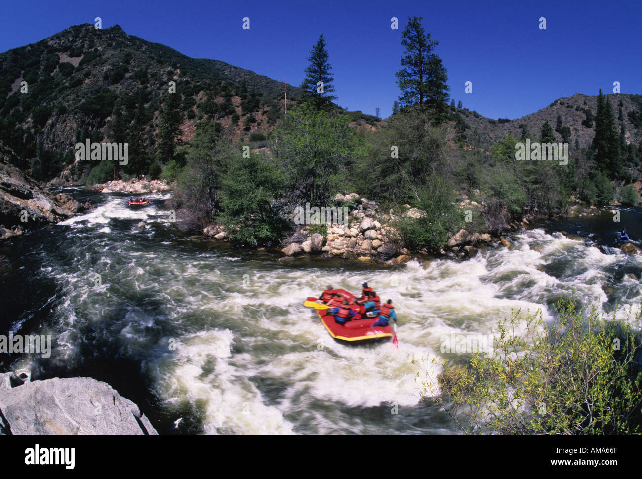 Sport Sports White Water Rafting on the Kern River California USA Stock ...