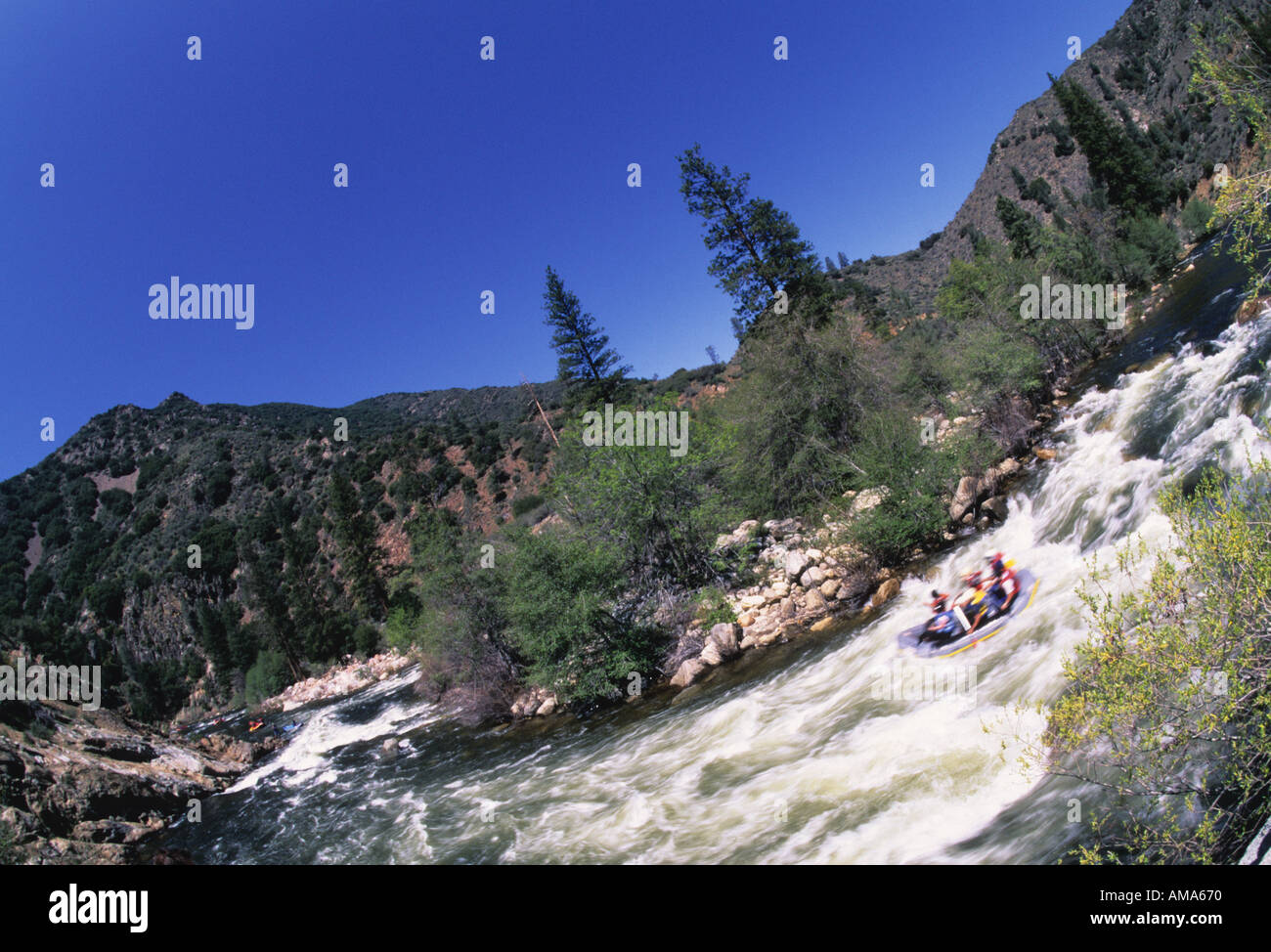 Sport Sports White Water Rafting on the Kern River California USA Stock ...
