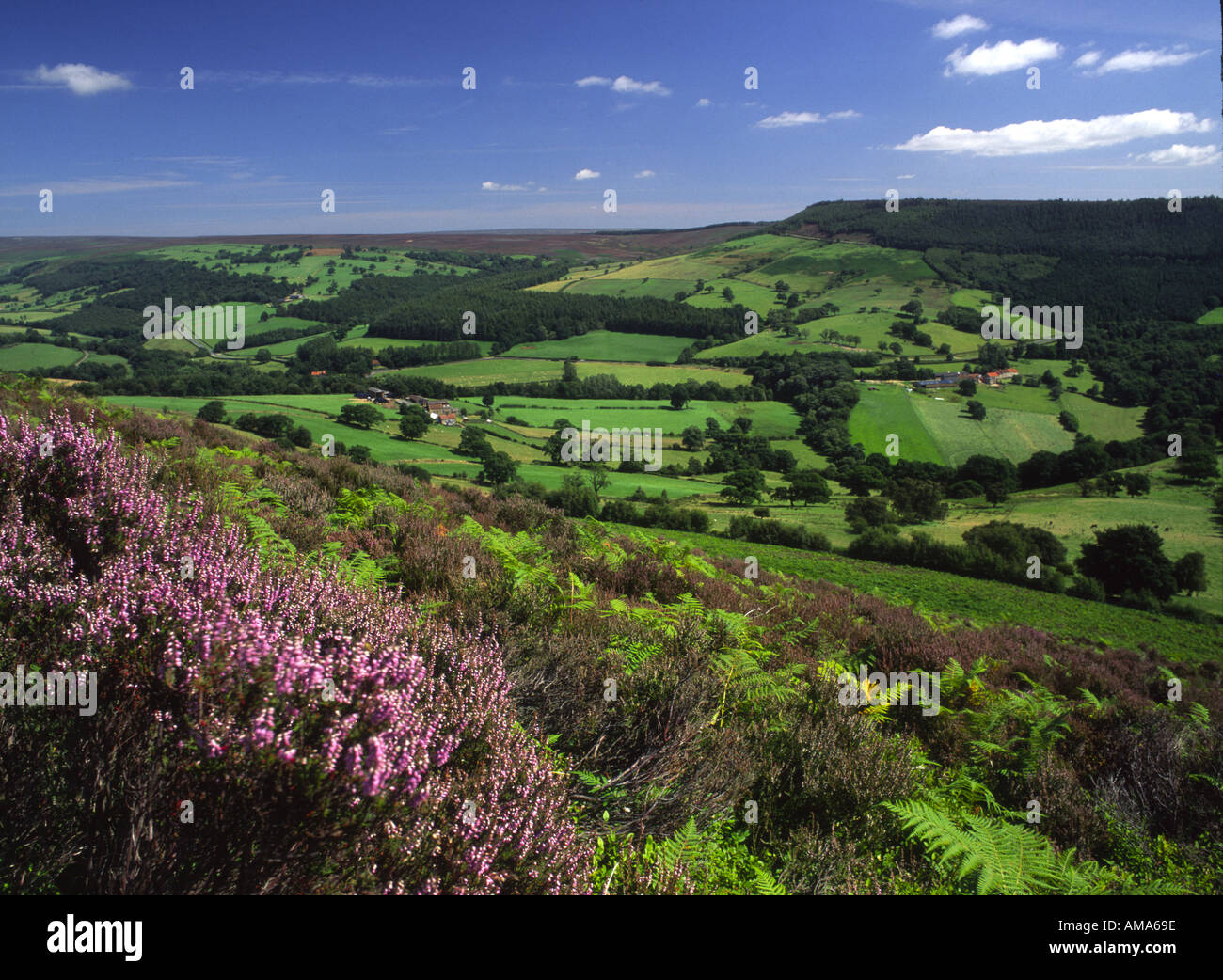 Bilsdale valley hi-res stock photography and images - Alamy