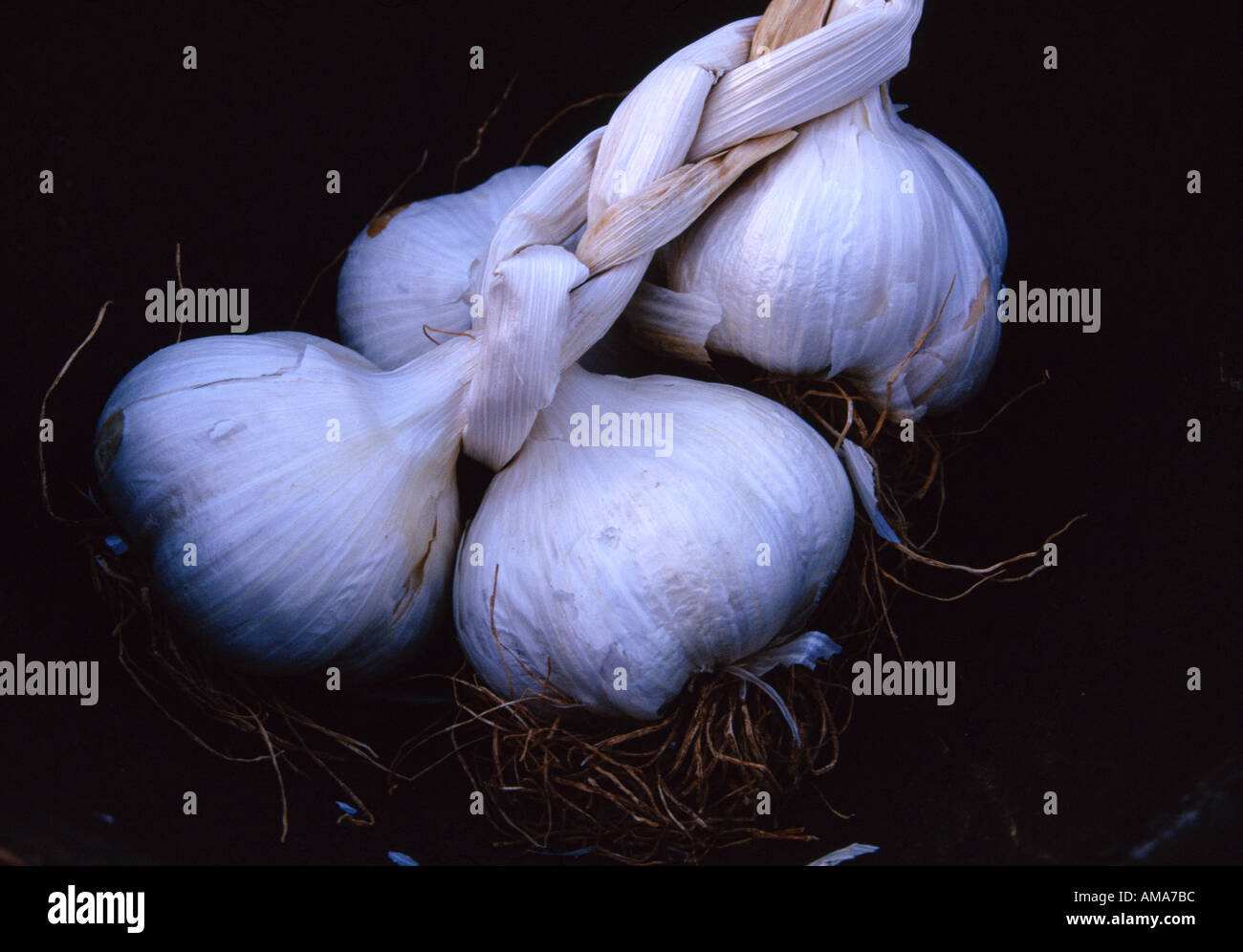 Plaited garlic bulb hi-res stock photography and images - Alamy