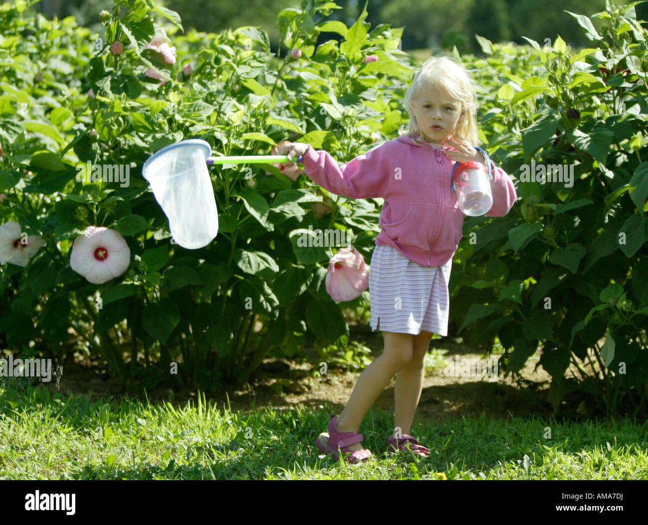 Girl with jar of butterflies hi-res stock photography and images - Alamy