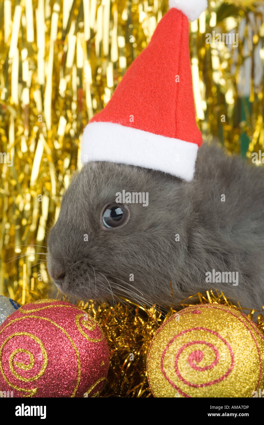 Grey Christmas Rabbit