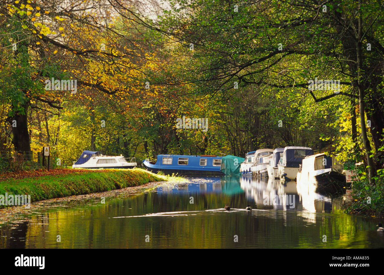 Boats on the Monmouth and Brecon Canal Powys, Wales, UK Stock Photo - Alamy