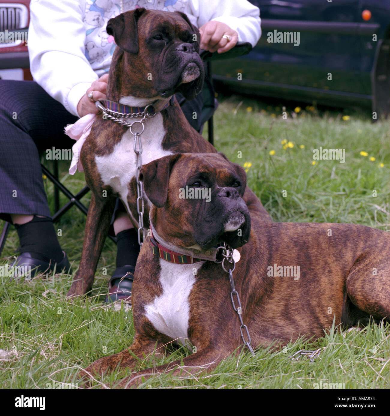 Henry cooper boxer hi-res stock photography and images - Alamy