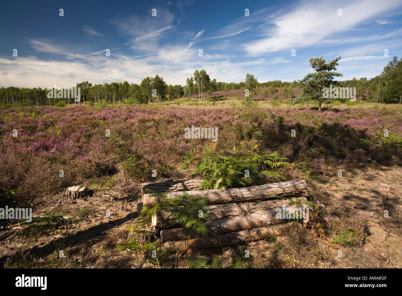 Iping common hi-res stock photography and images - Alamy