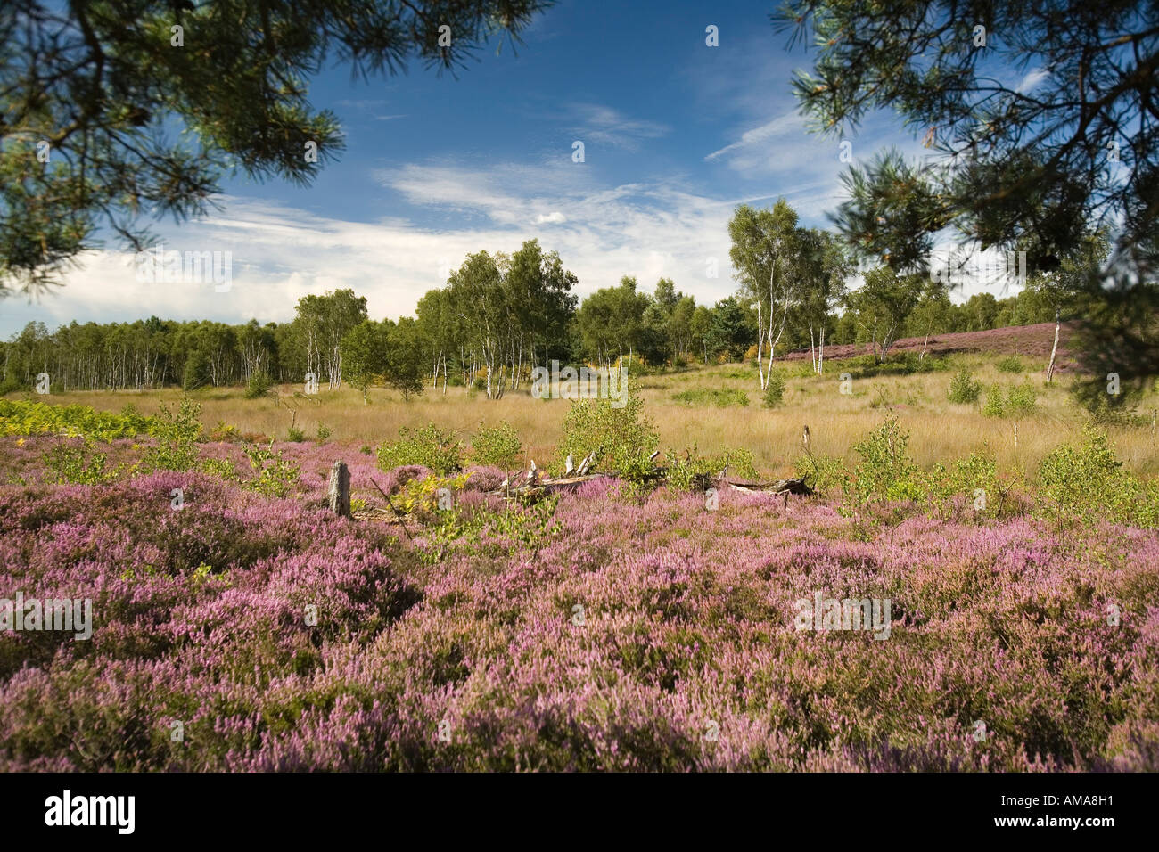 Iping west sussex hi-res stock photography and images - Alamy
