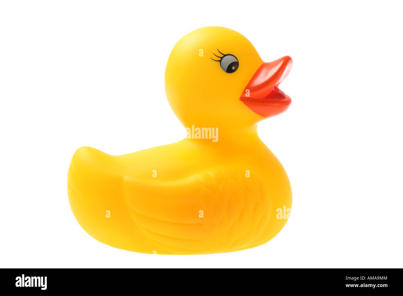 Cute little duck in Cut Out Stock Images & Pictures - Alamy