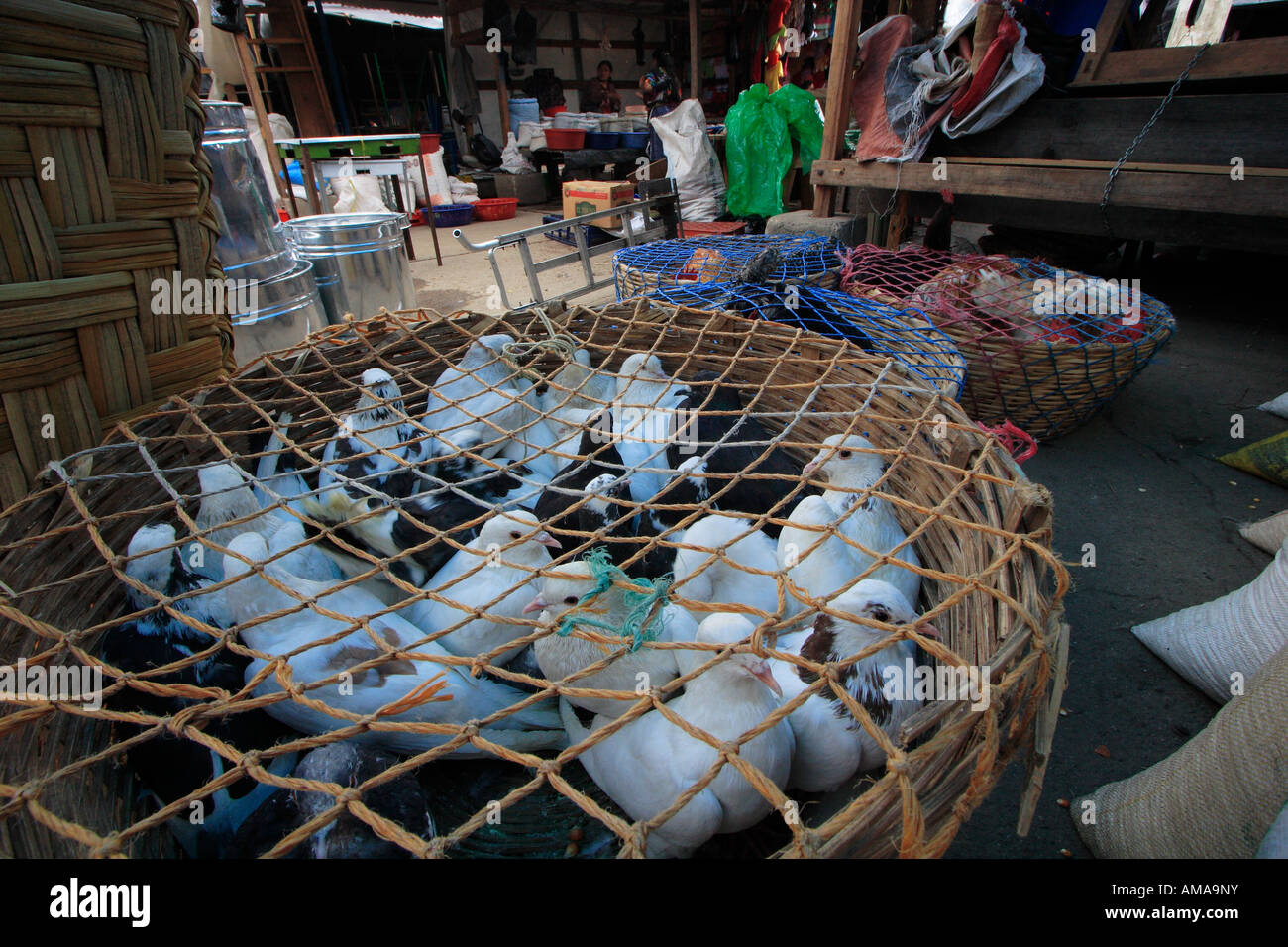 Guatemala, Chichicastenango, folkloristic market, doves for sale Stock ...