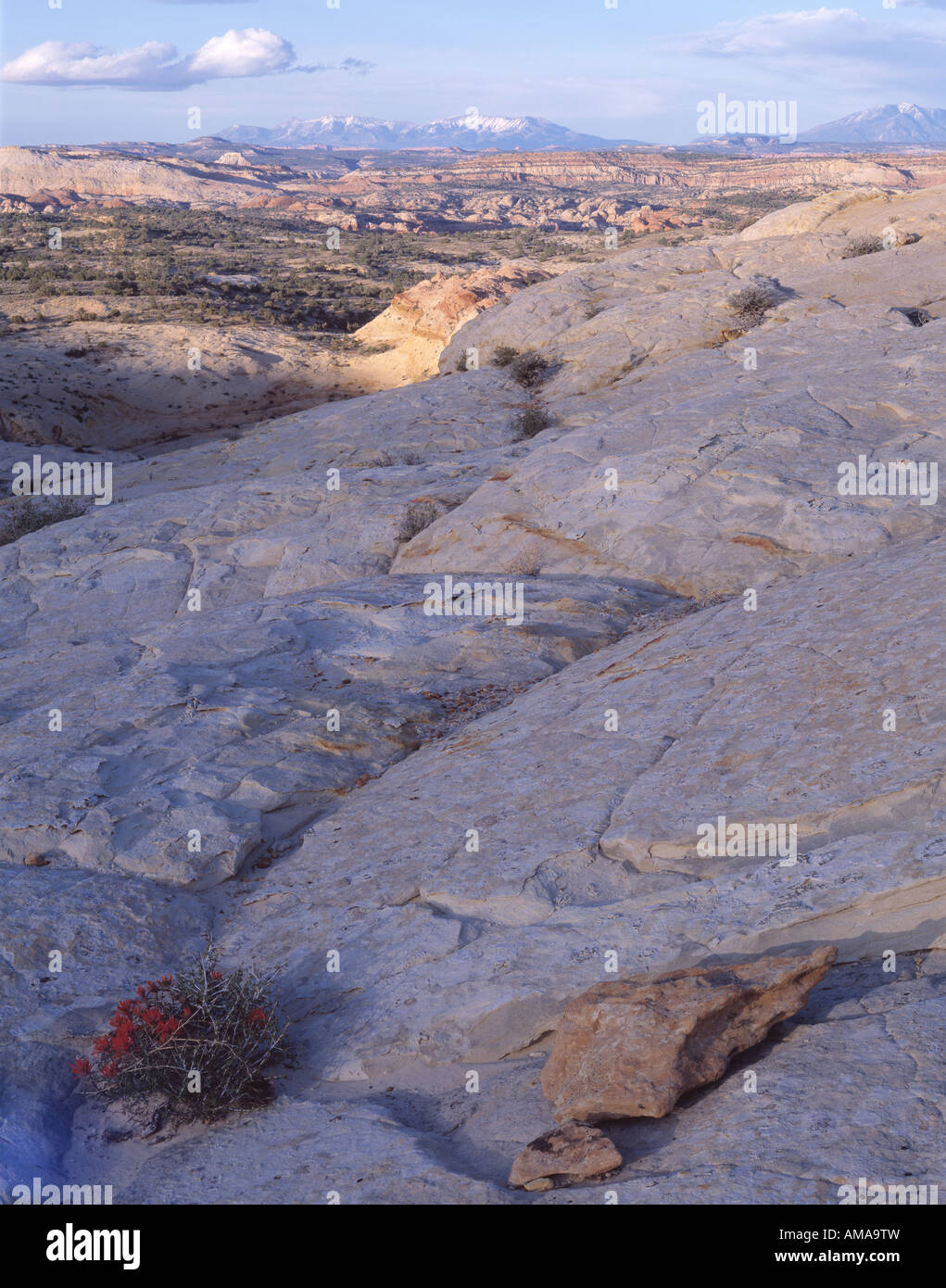 Desert Rock with Far Horizon Stock Photo - Alamy
