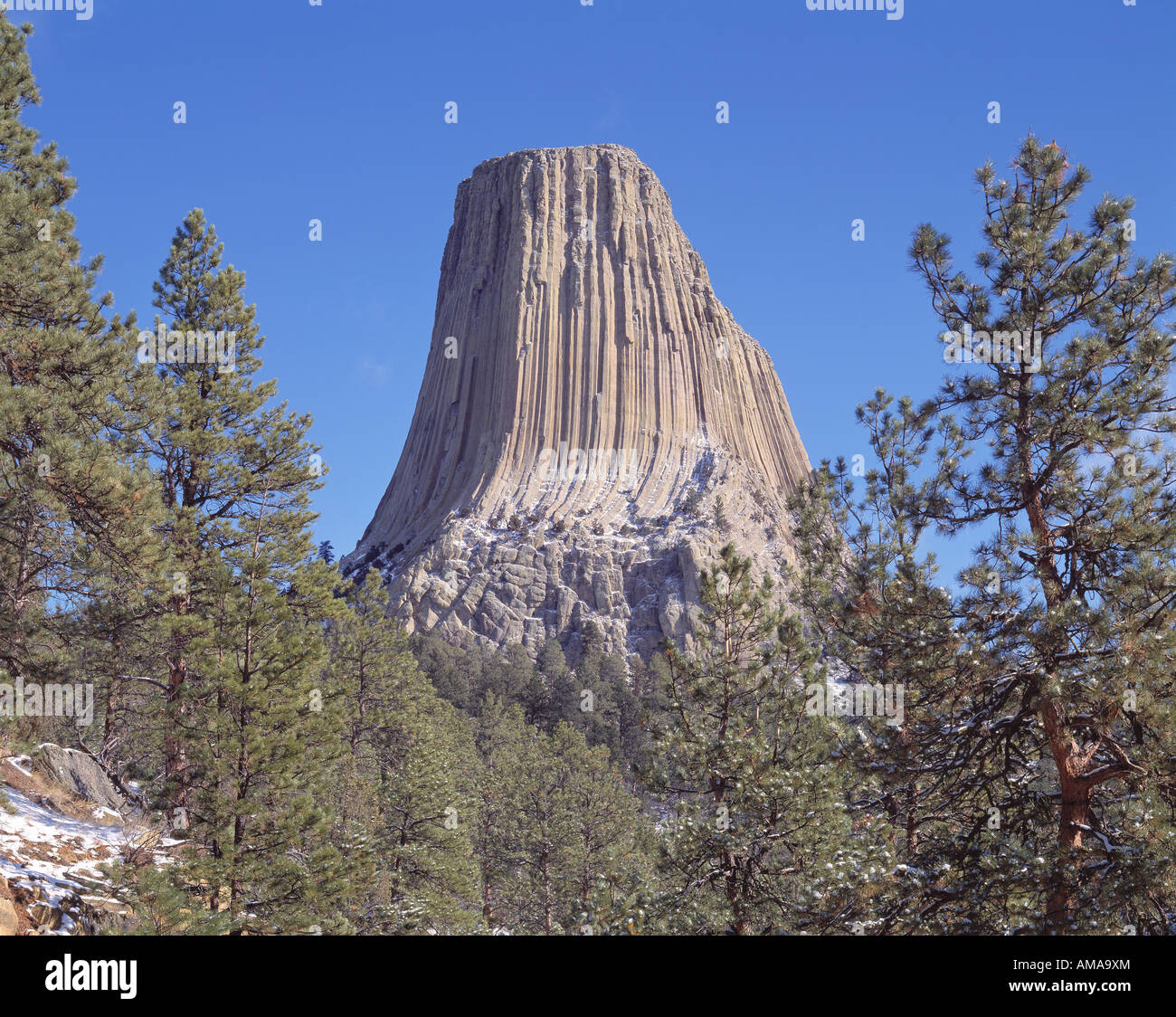 Devil's Tower in Trees Stock Photo - Alamy