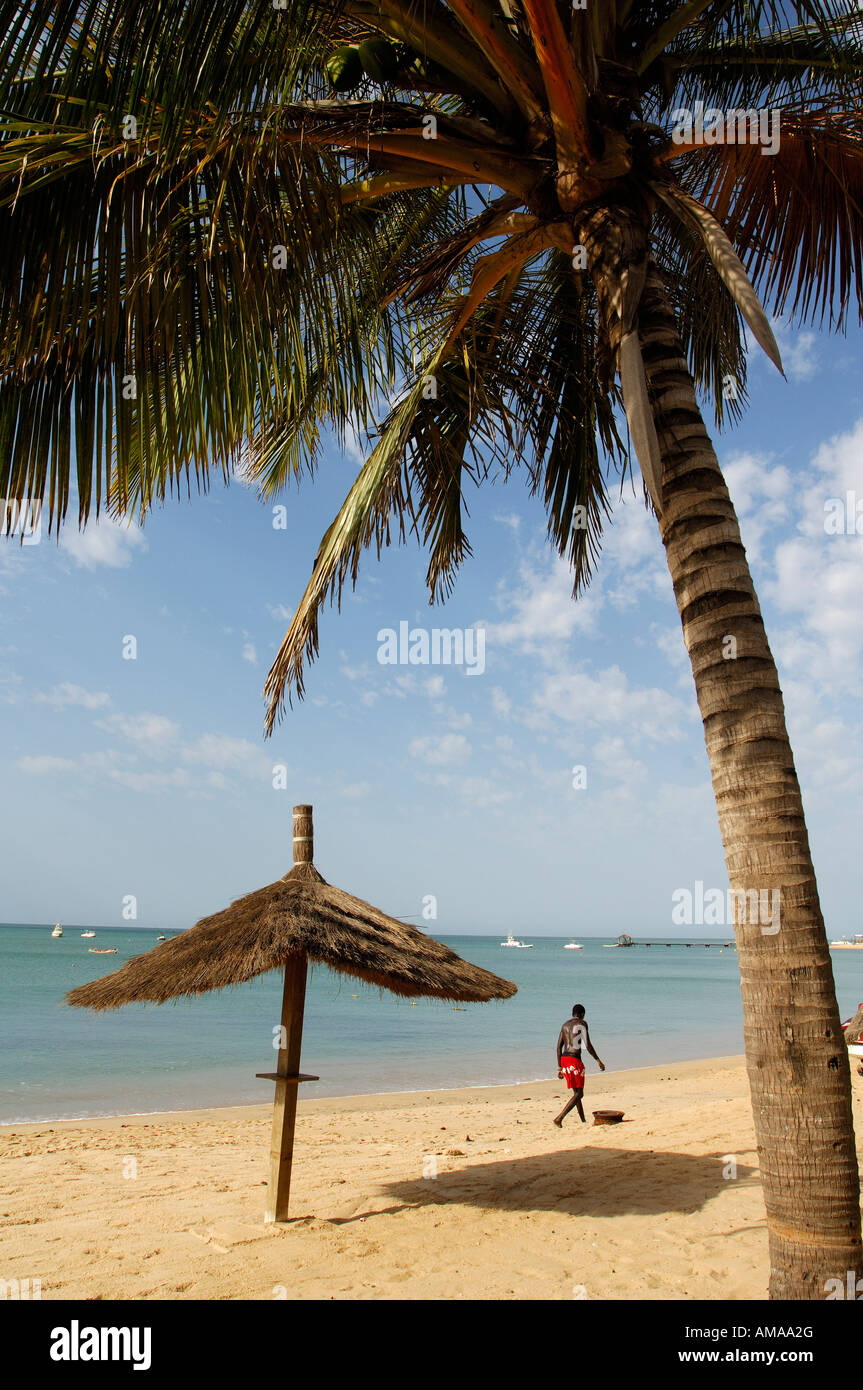 Petite cote of senegal hi-res stock photography and images - Alamy