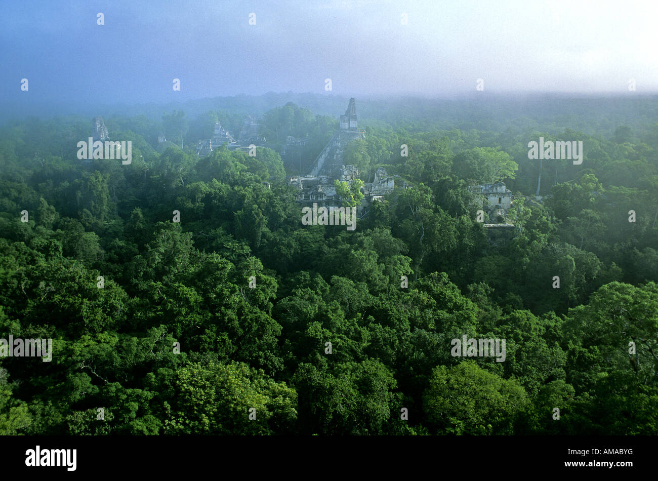 Peten, Guatemala, Maya, Pyramid Stock Photo - Alamy