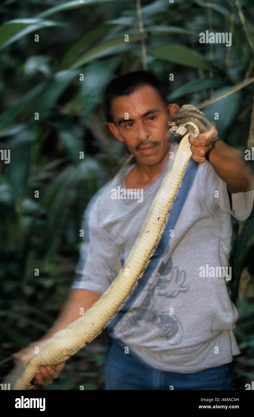 San bartolo guatemala snake hi-res stock photography and images - Alamy