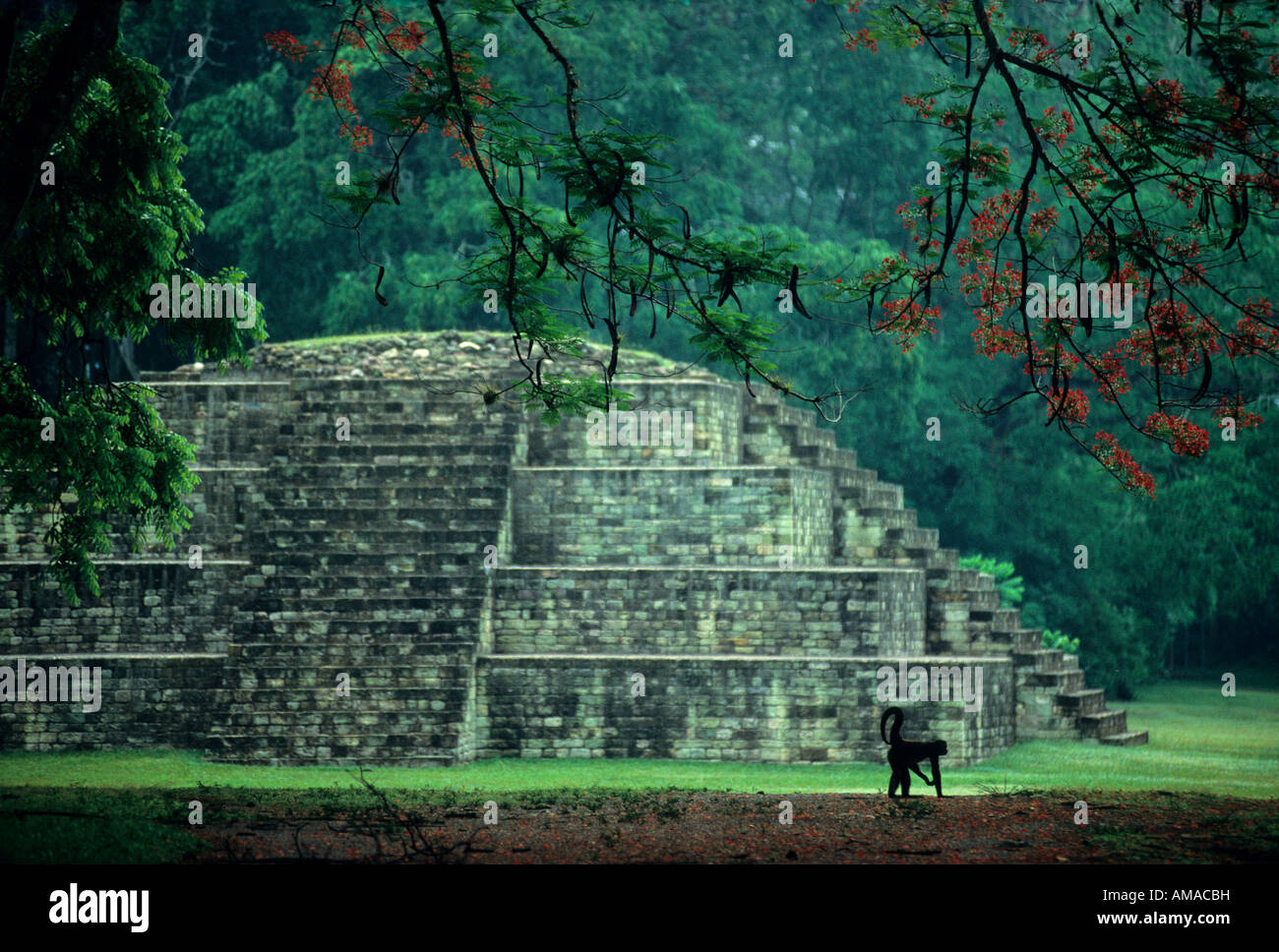 Copan, Honduras, Maya, Royal Tomb Stock Photo - Alamy