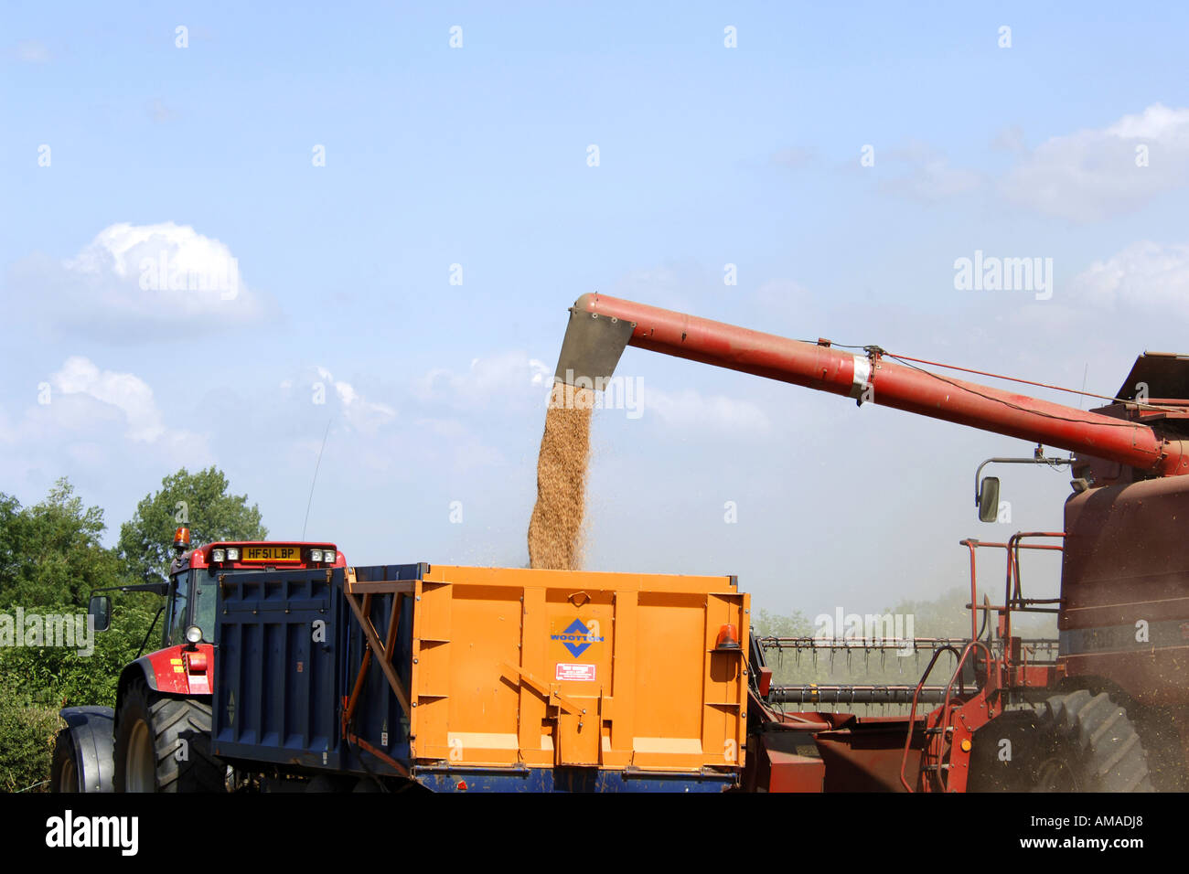 Transferring the crops from the Harvester to waiting Tractor and ...