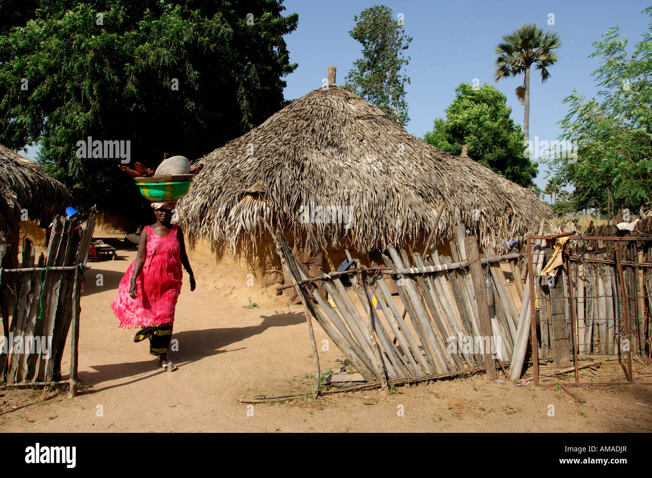 Senegal, village in bush near Saloum River Delta Stock Photo - Alamy