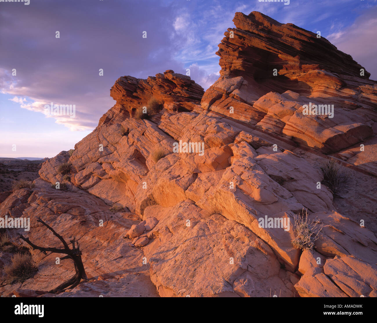 Light red wash hi-res stock photography and images - Alamy