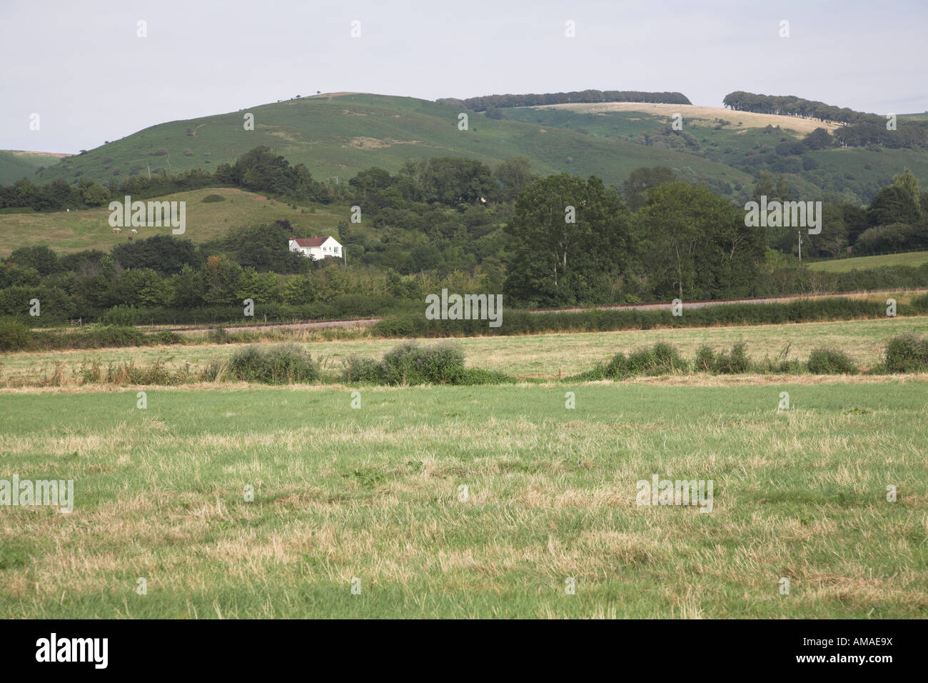 Quantock hills looking north from near stogumber hi-res stock ...