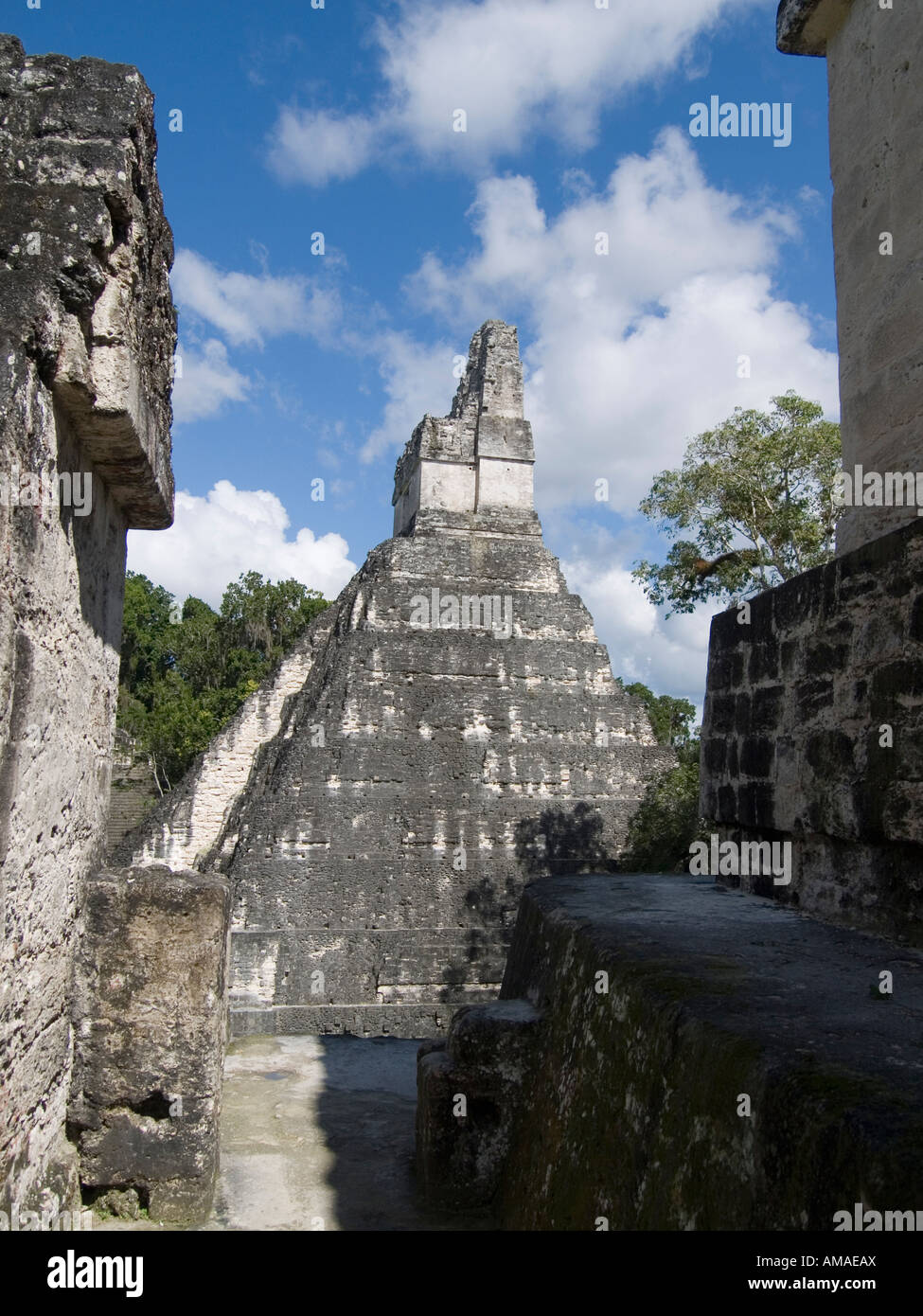 Tikal, Guatemala: Tikal Maya Ruins, Pyramid #1 Stock Photo - Alamy