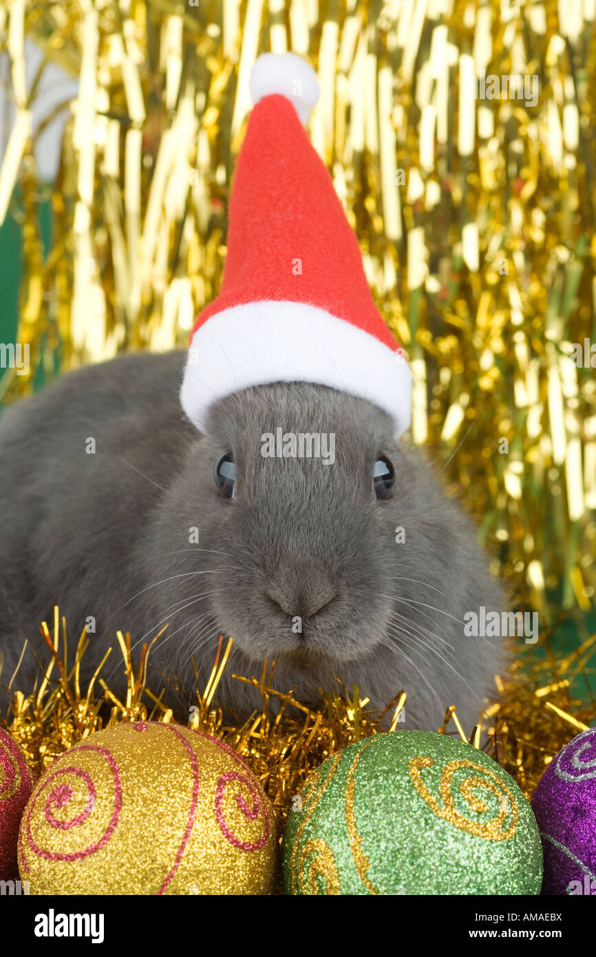 Grey Christmas Rabbit