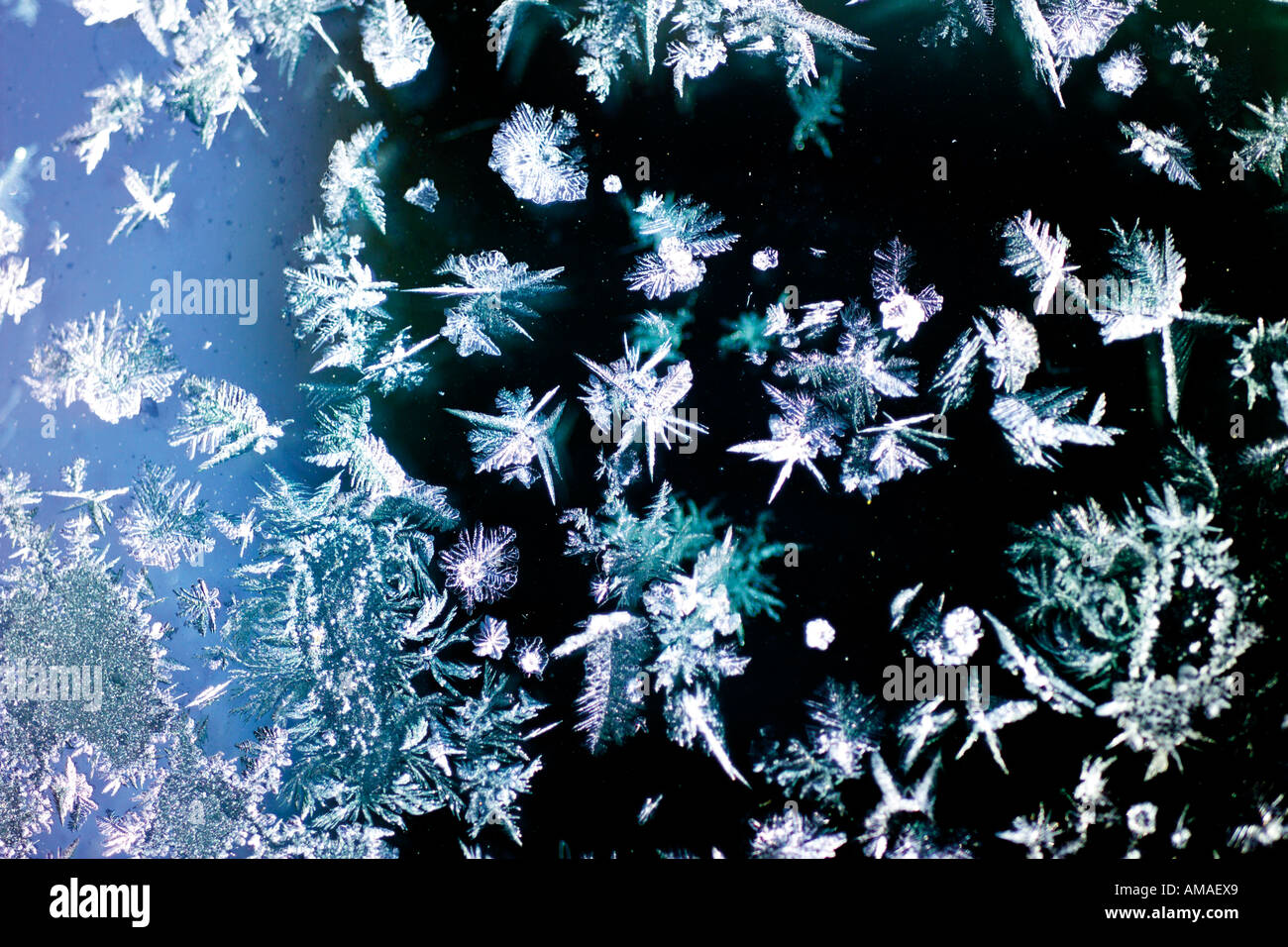 Ice crystals, close-up Stock Photo - Alamy