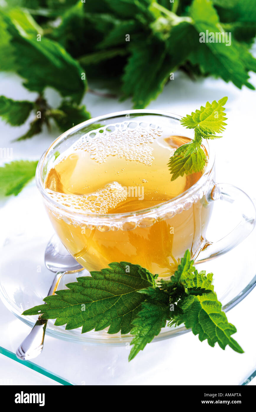 Nettle tea hi-res stock photography and images - Alamy