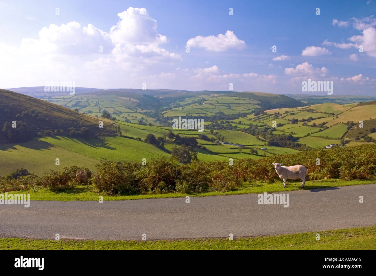 Landscape, Powys, Wales, UK Stock Photo - Alamy