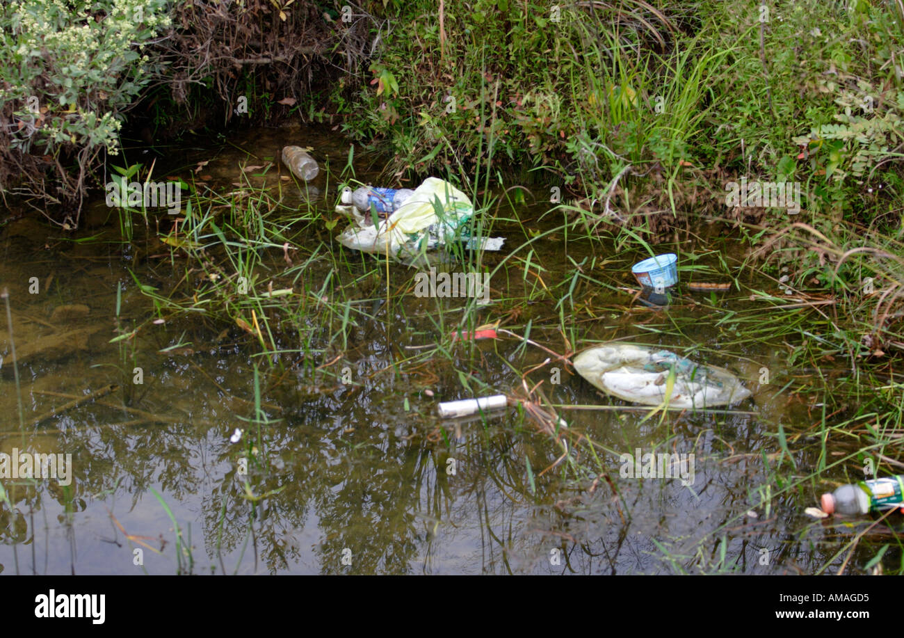 litter on the edge of a suburban pond Stock Photo - Alamy