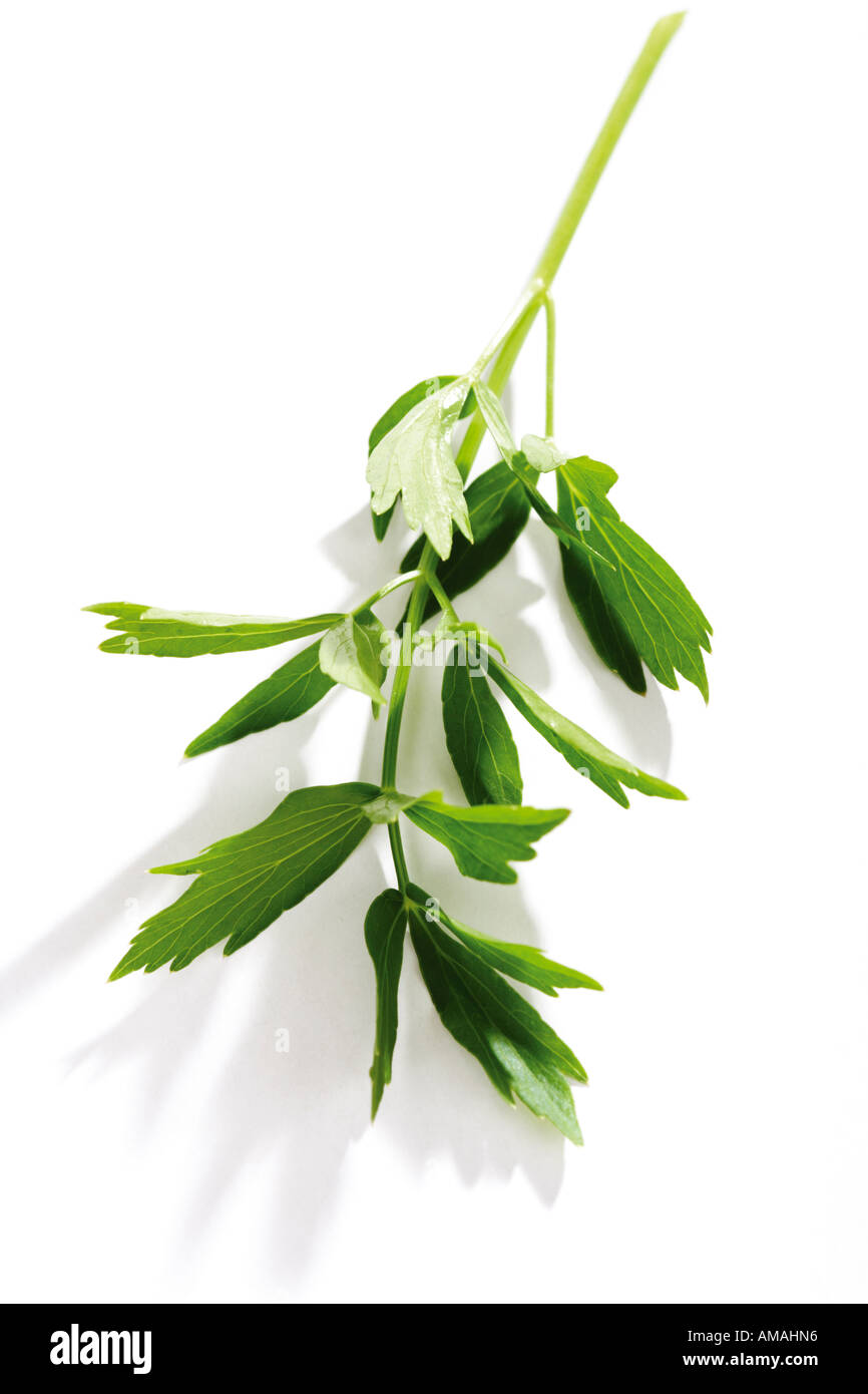 Chinese person eating Cut Out Stock Images & Pictures - Alamy