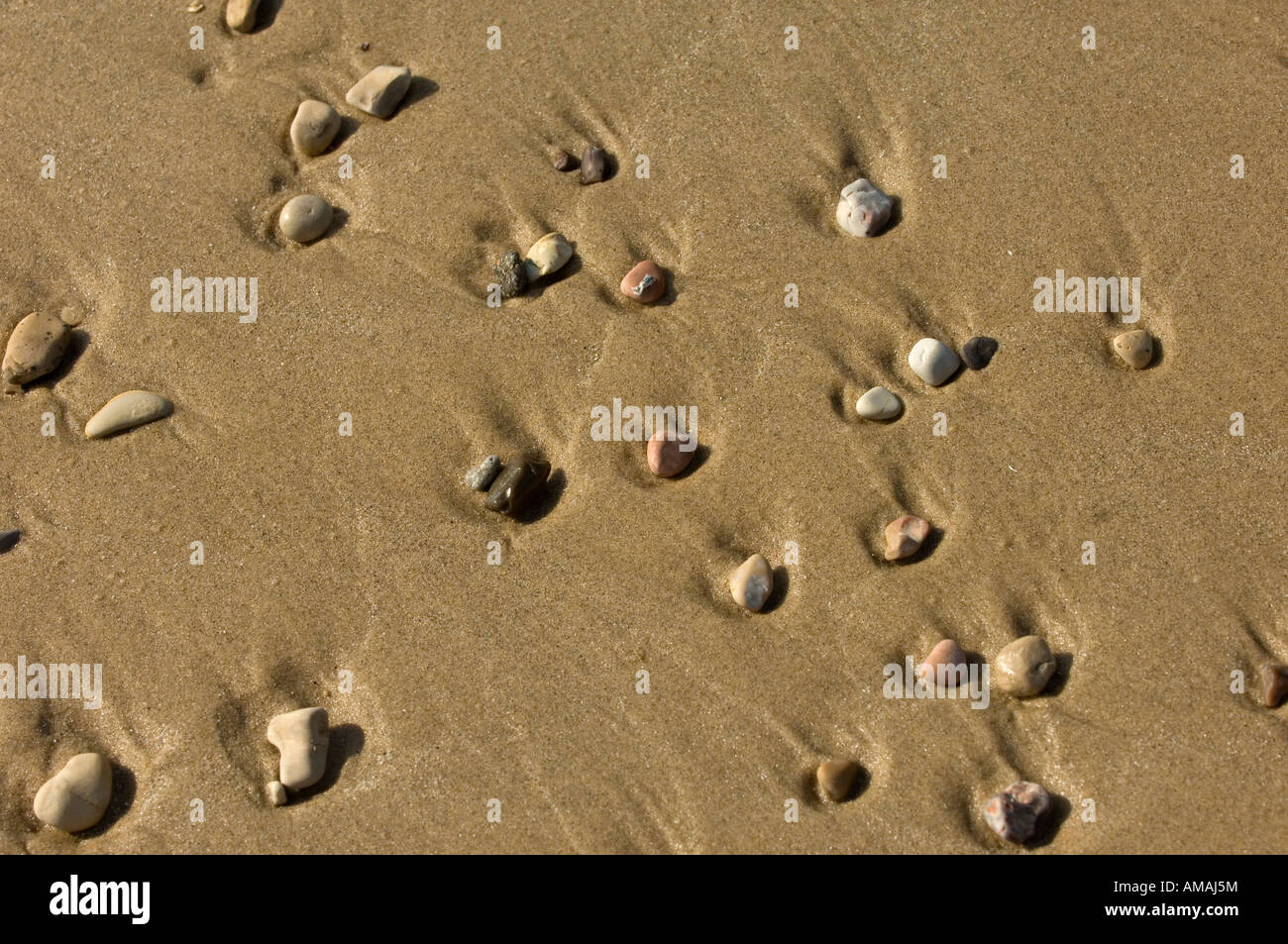 Stones and pebbles on sand Stock Photo - Alamy