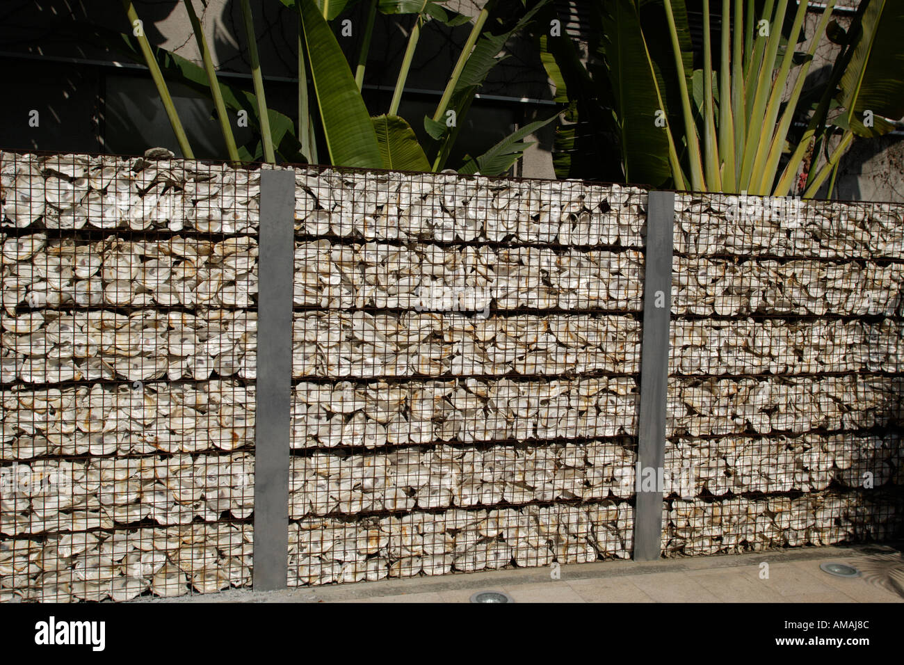 The discarded Lau Fau Shan oyster shells used in the gabion screen ...