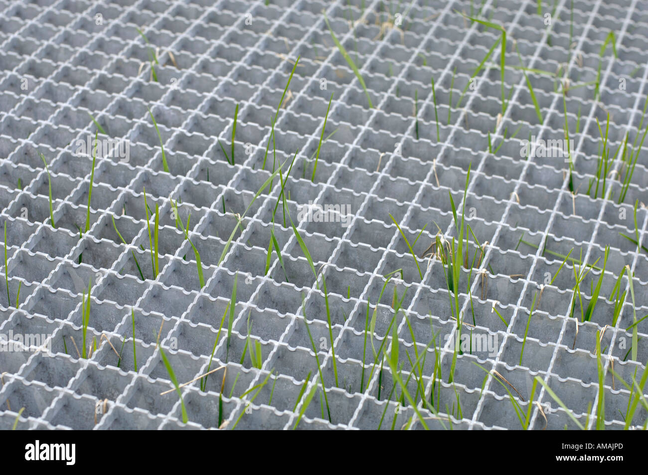 Grid with grass Stock Photo - Alamy