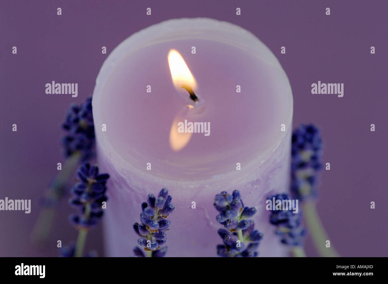 Burning lavender candle Stock Photo - Alamy