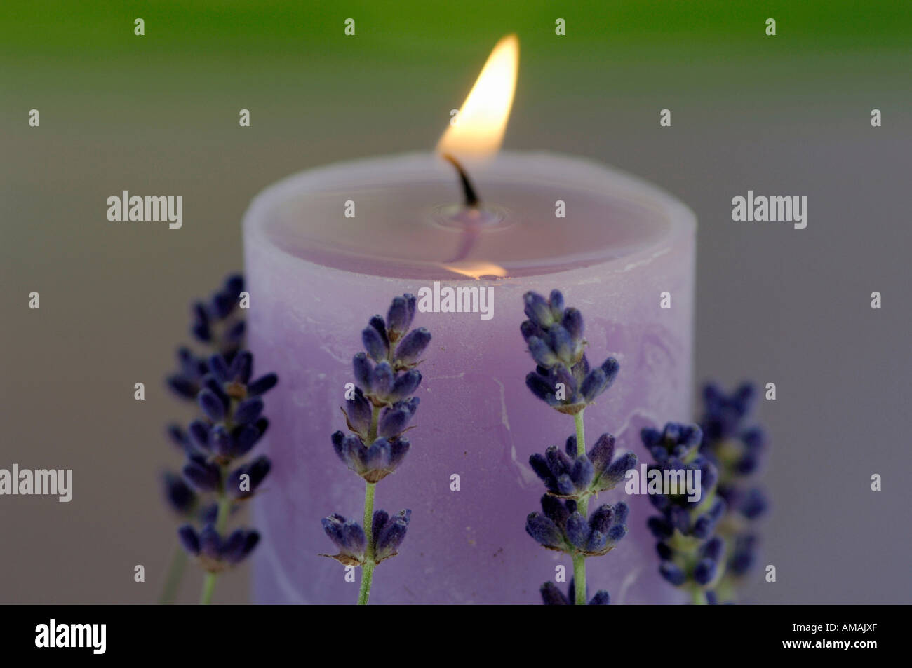Burning lavender candle Stock Photo - Alamy