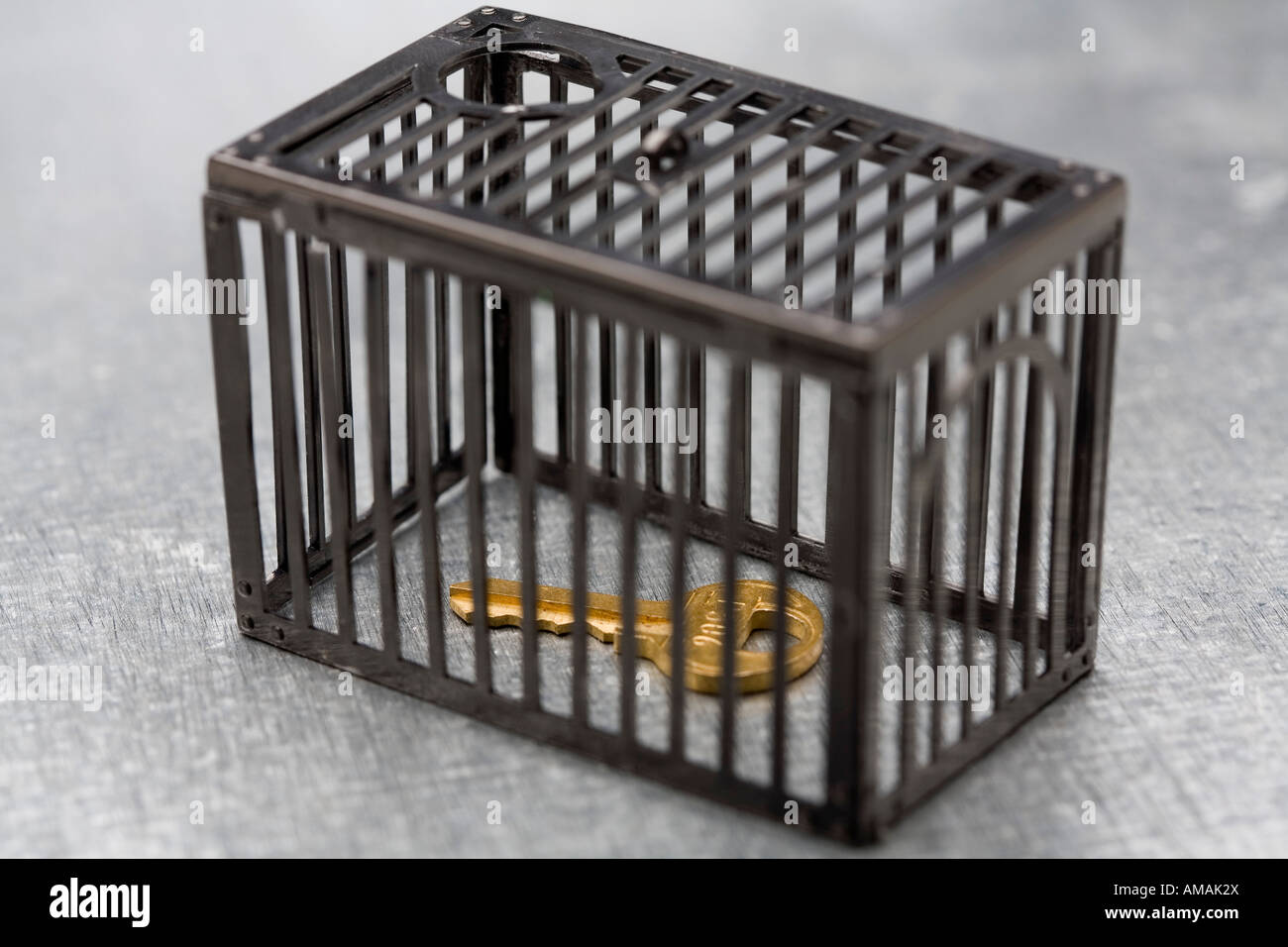 A key in a cage Stock Photo - Alamy