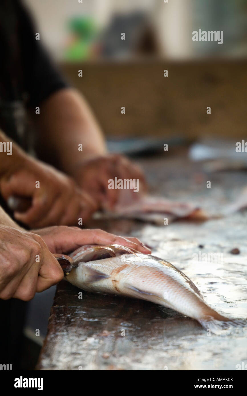 Detail of people gutting fish Stock Photo - Alamy