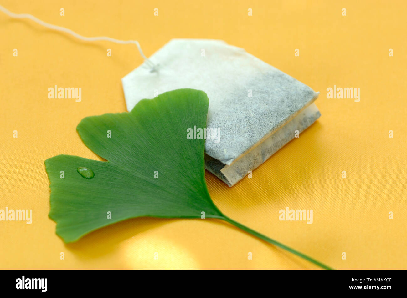 Ginkgo biloba and tea bag Stock Photo - Alamy