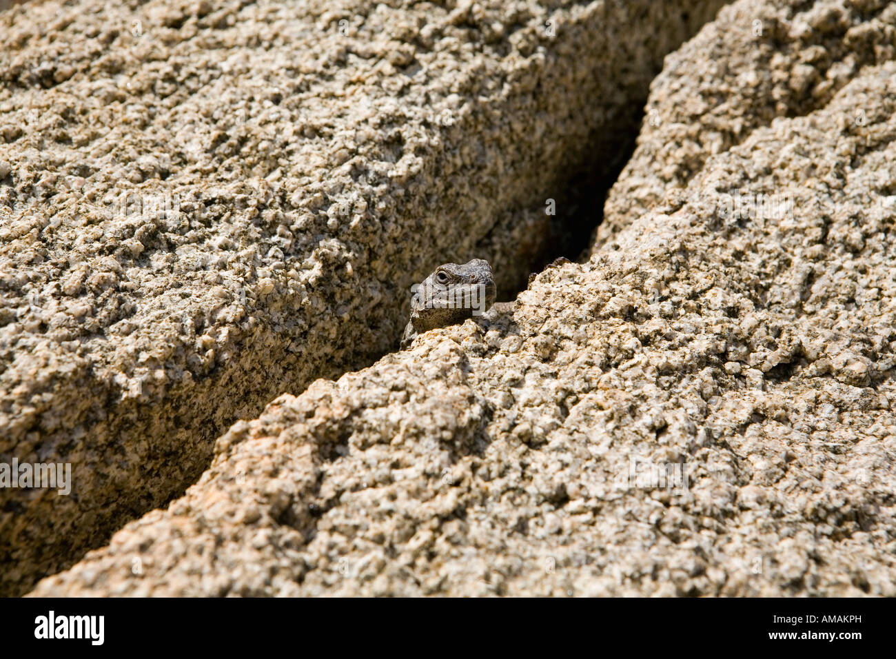 Beige rocks hi-res stock photography and images - Alamy