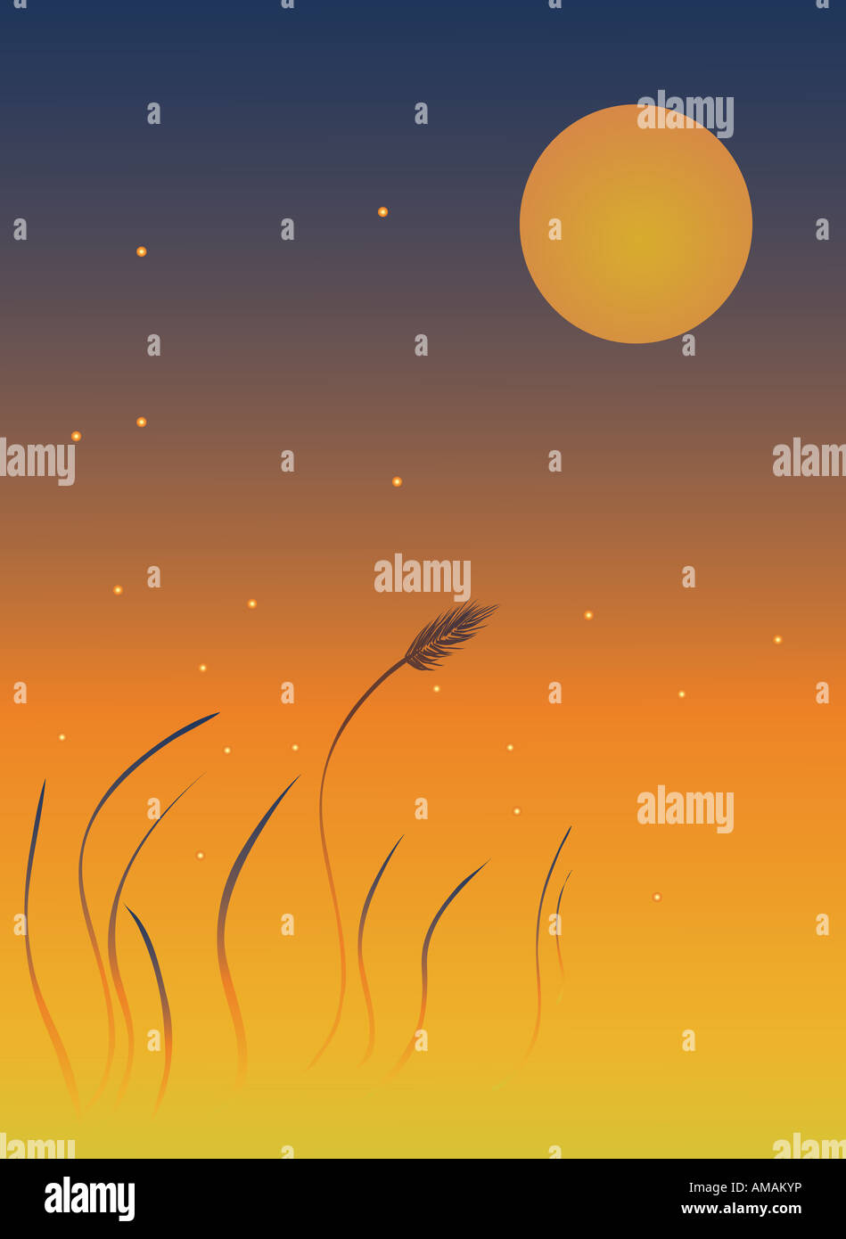 Nature with fireflies hi-res stock photography and images - Alamy