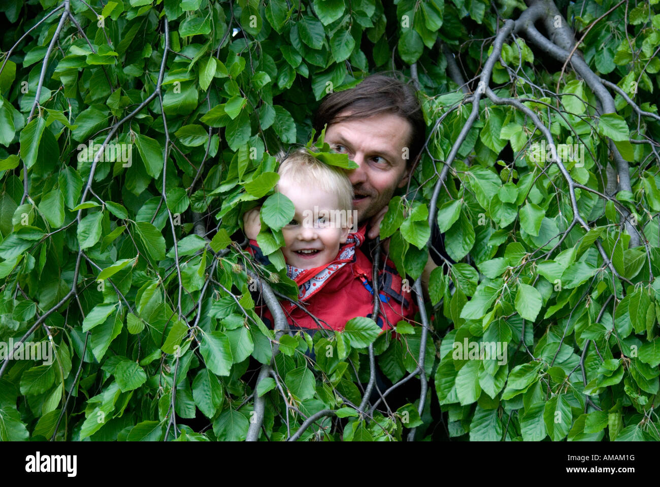 Hiding In The Bushes