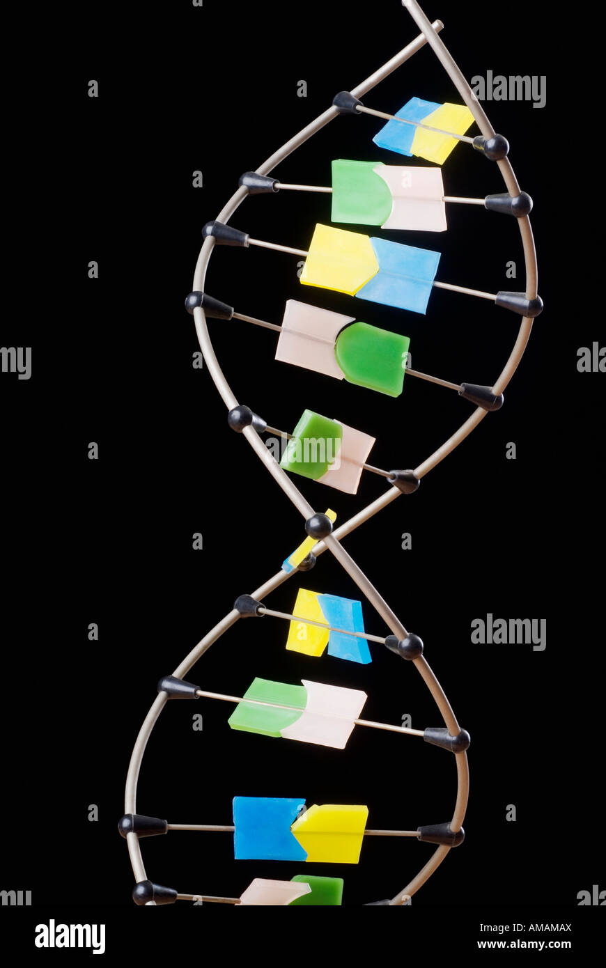 Double helix model hi-res stock photography and images - Alamy