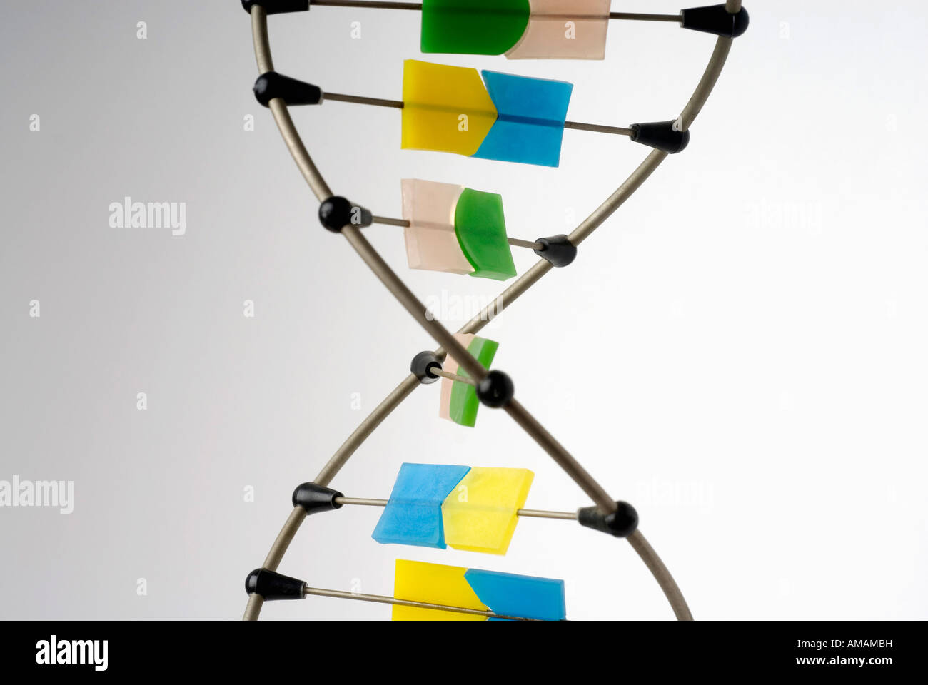 Double helix model hi-res stock photography and images - Alamy