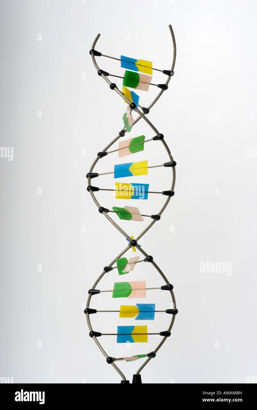 Double helix model hi-res stock photography and images - Alamy