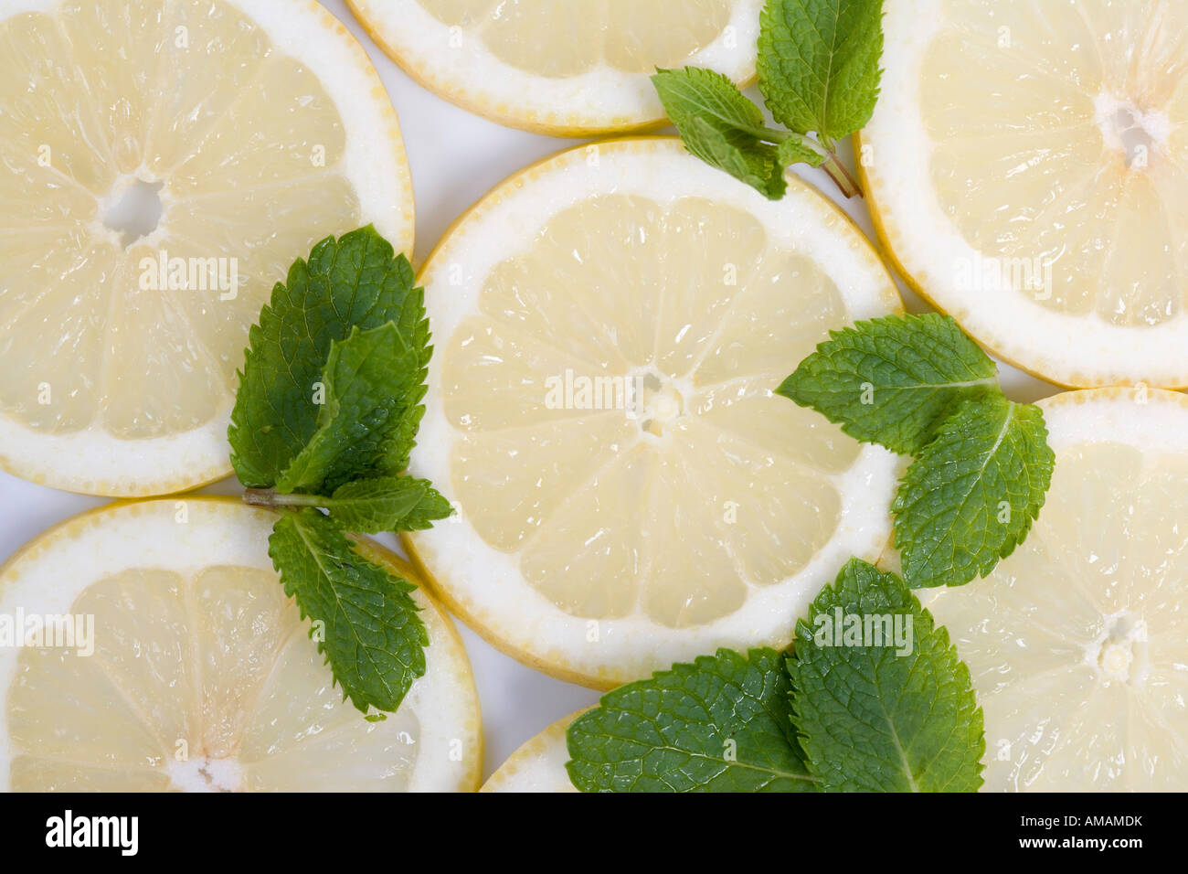 Lemon mint leaves hi-res stock photography and images - Alamy
