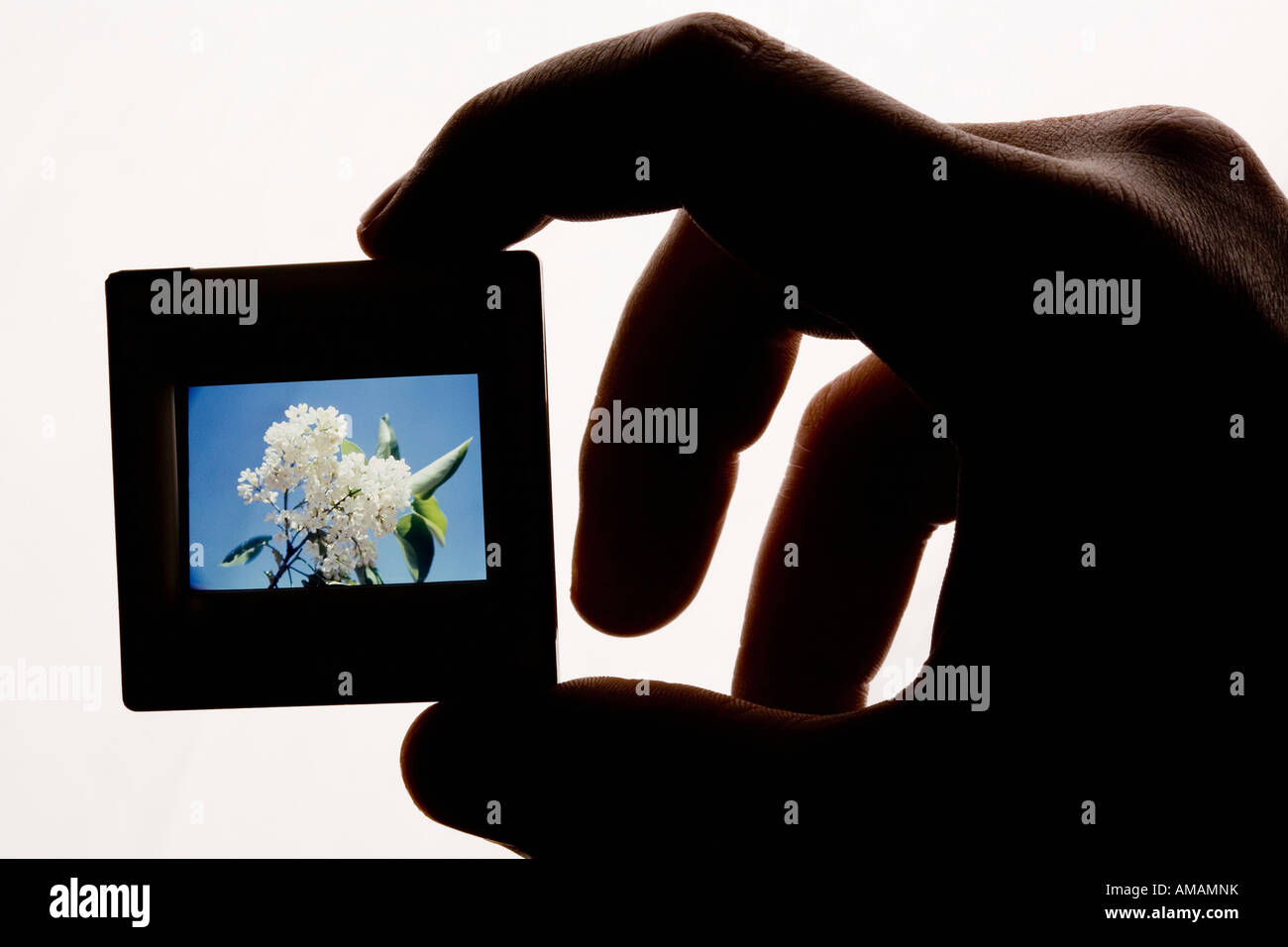 Illuminated Slide High Resolution Stock Photography and Images - Alamy