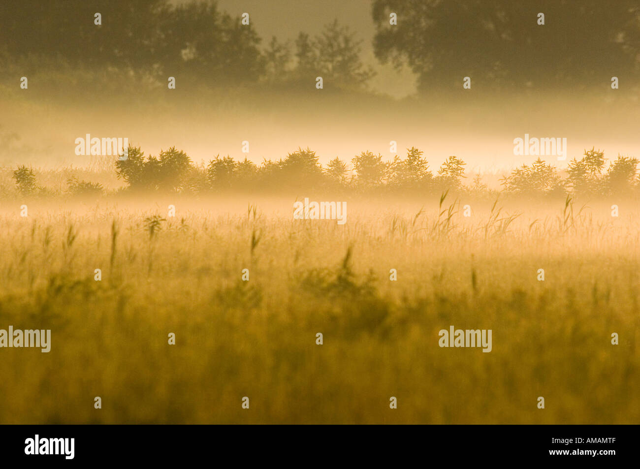 Outdoor exterior day daytime daylight nature scene scenery landscape ...