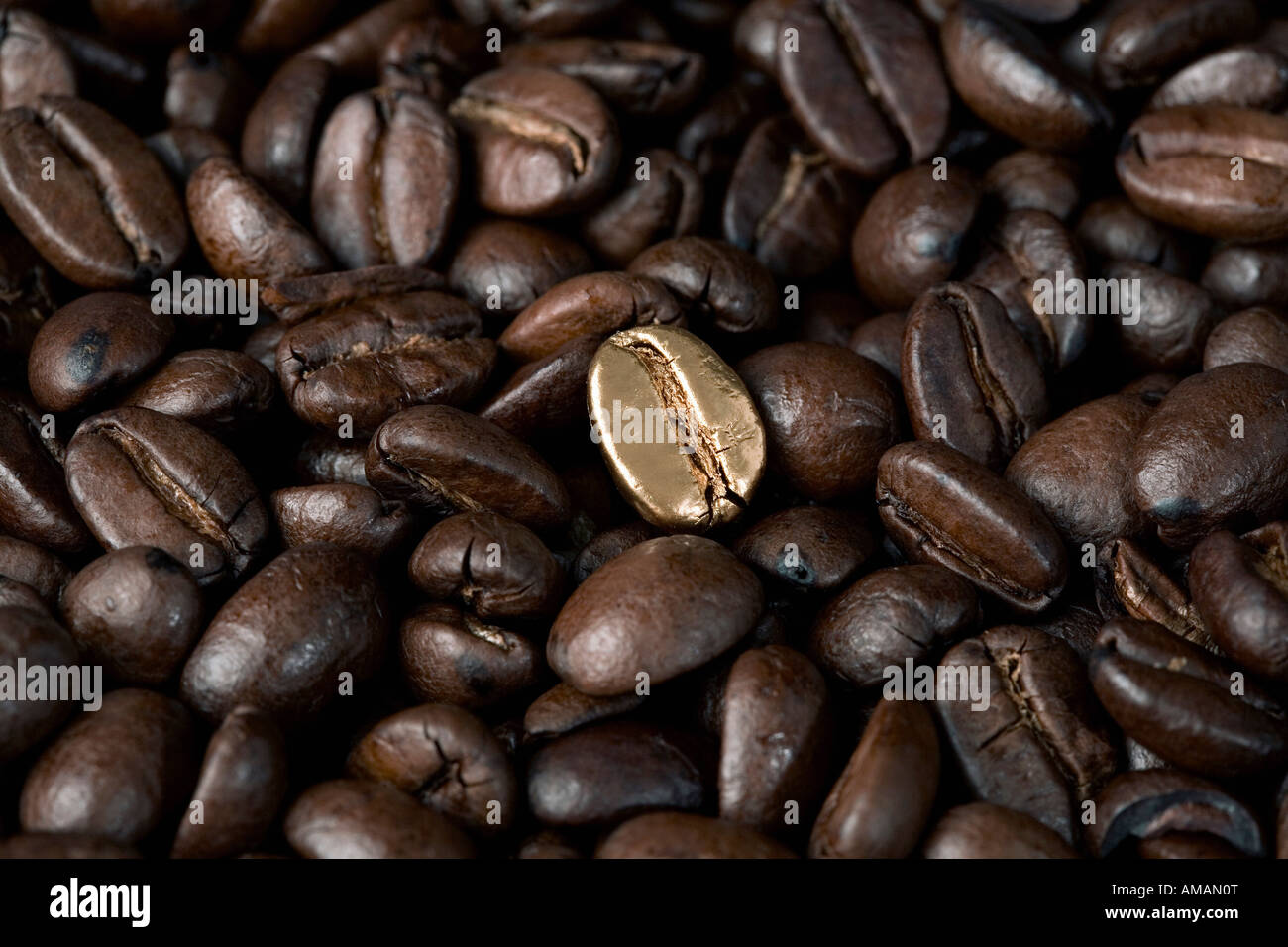A gold coffee bean Stock Photo - Alamy